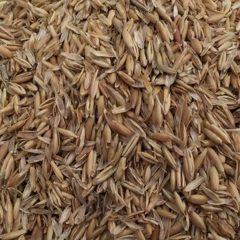 Flaked Barley - Home Brew Supplies NZ (Loyalty Savings)